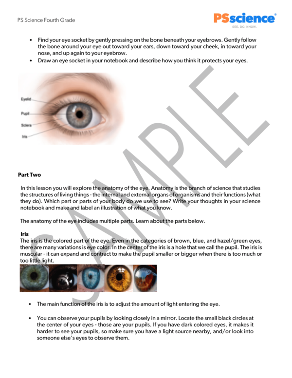 PS Science | Fourth Grade Sample Lesson
