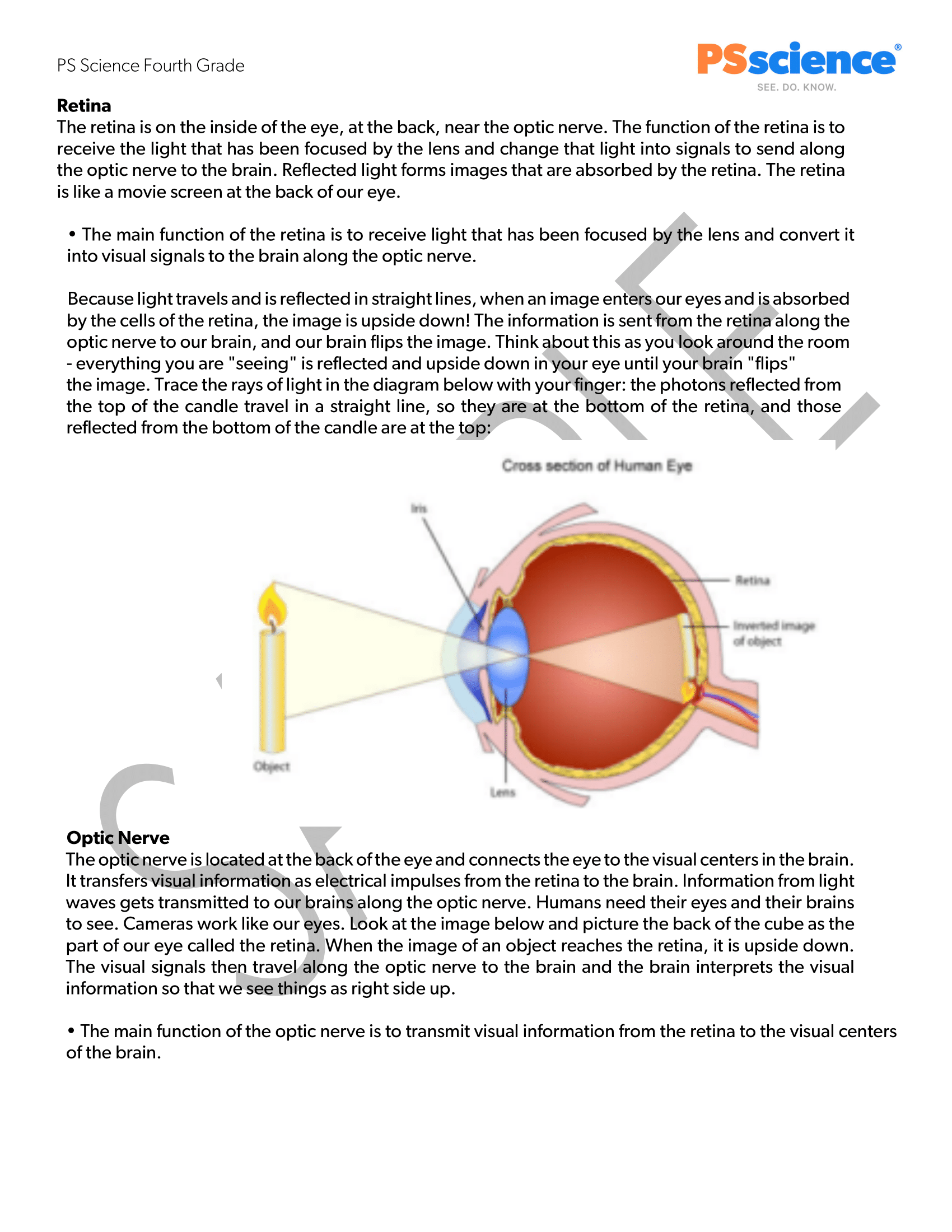 PS Science | Fourth Grade Sample Lesson