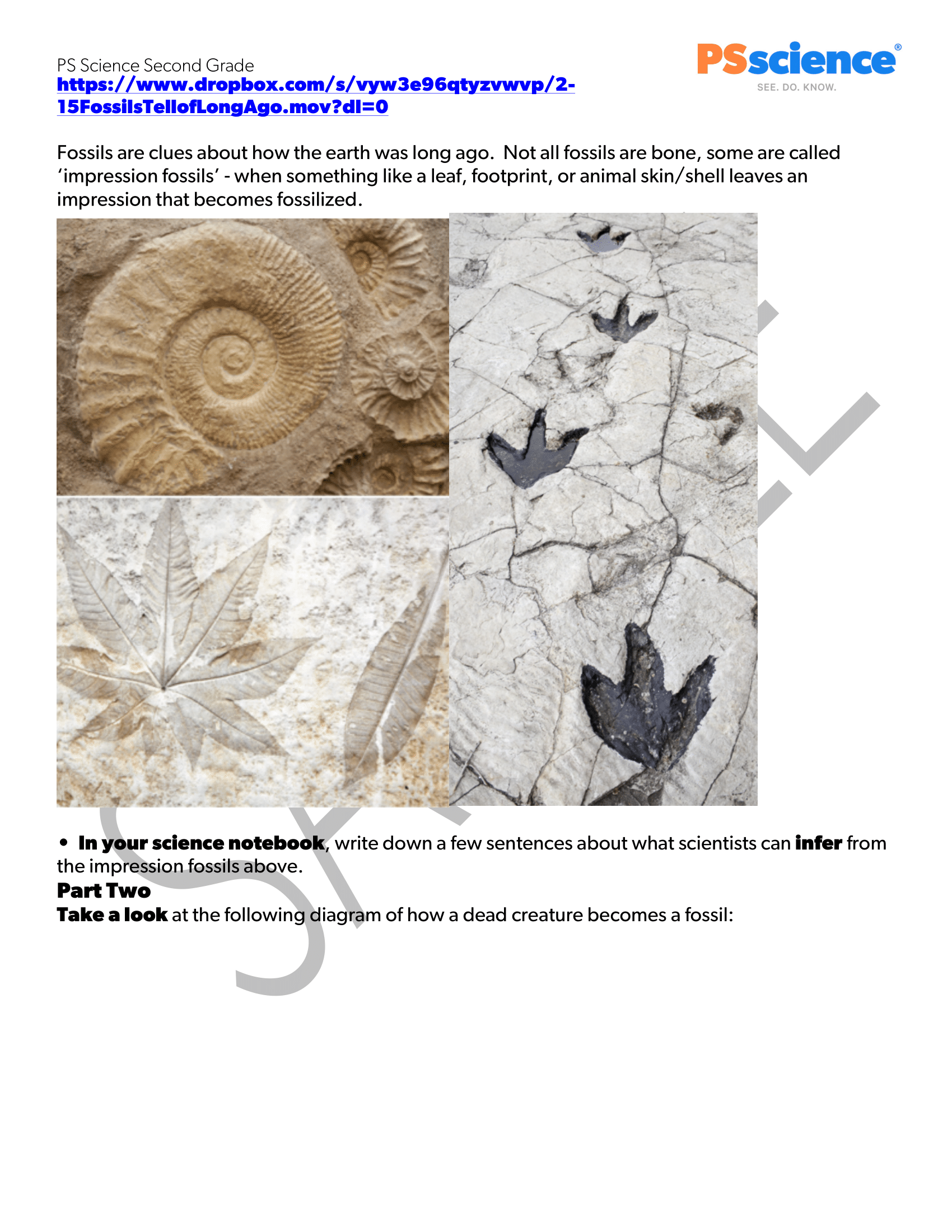 PS Science | Second Grade Sample Lesson