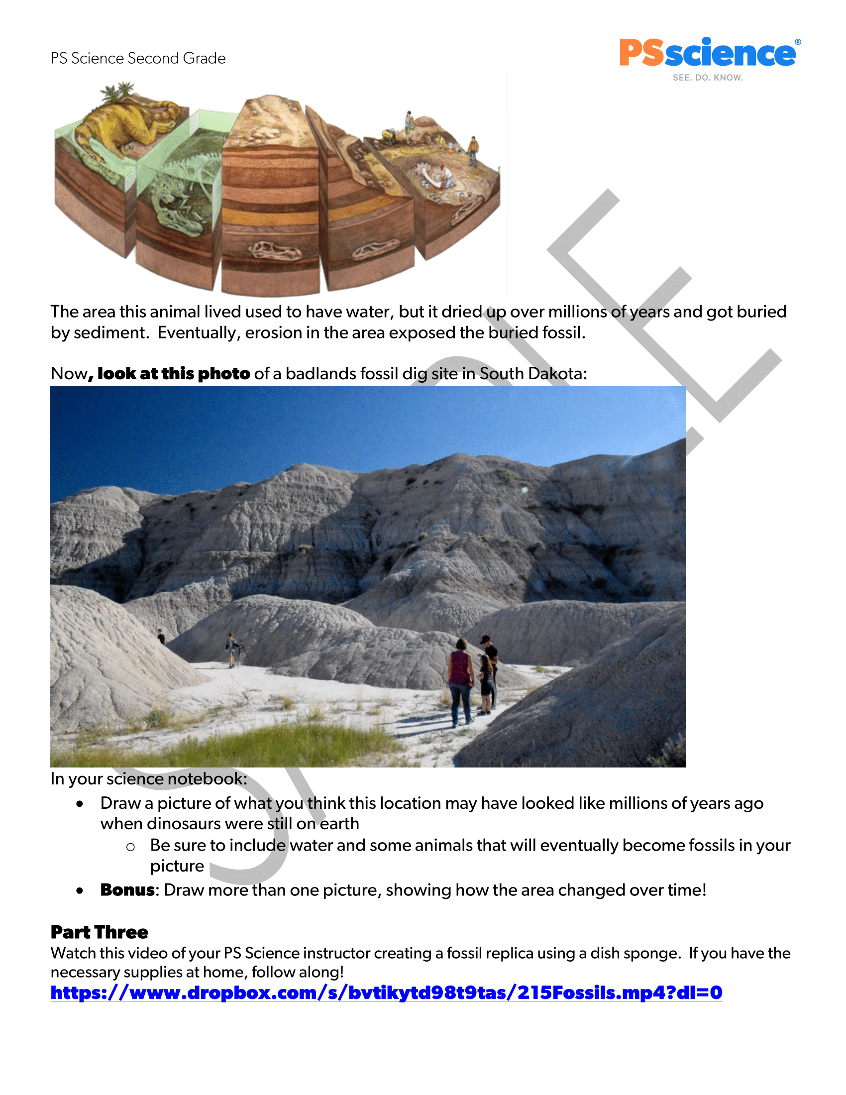 PS Science | Second Grade Sample Lesson
